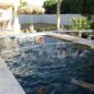 Anaconda Custom Pool Volleyball Net System - Volleyball Net Systems